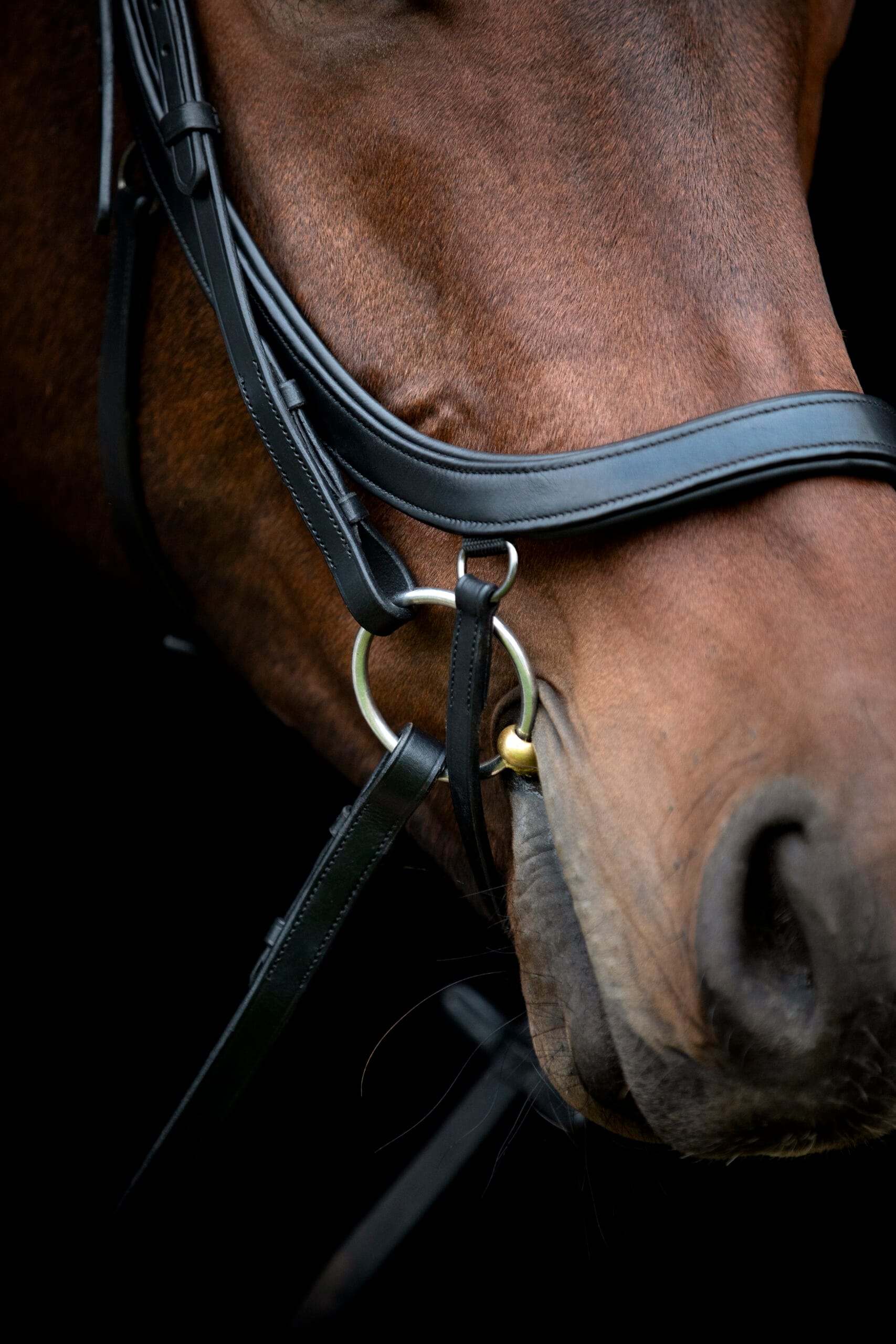 HorseGuard Vinja anatomisk träns – VB Ridsport